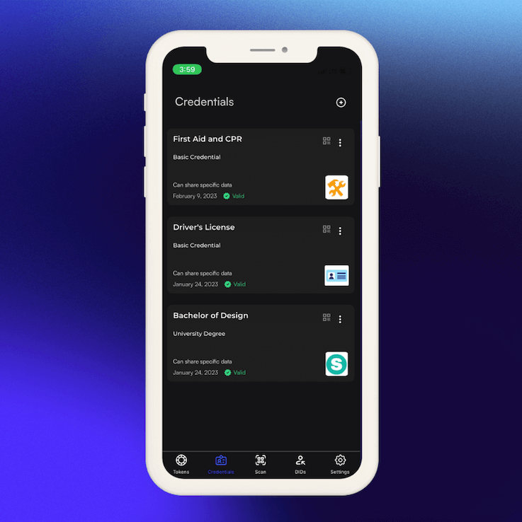 Selective Disclosure Guide: Privacy Feature of Verifiable Credentials